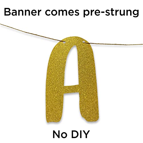 Funny Birthday Gold Glitter Banner – Birthday and Retirement Party Supplies, Ideas, Gifts and Decorations