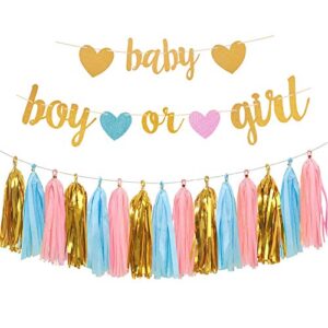 aonor gender reveal party decorations – glitter letters baby and boy or girl with hearts banner, tissue paper tassels garland set for baby shower party decorations