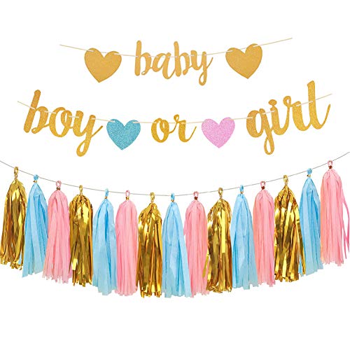 Aonor Gender Reveal Party Decorations - Glitter Letters Baby and Boy or Girl with Hearts Banner, Tissue Paper Tassels Garland Set for Baby Shower Party Decorations