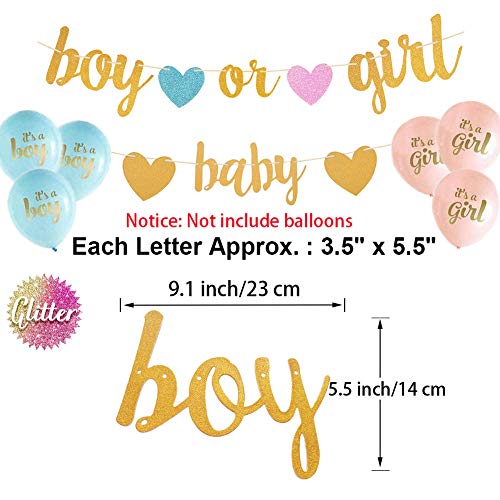 Aonor Gender Reveal Party Decorations - Glitter Letters Baby and Boy or Girl with Hearts Banner, Tissue Paper Tassels Garland Set for Baby Shower Party Decorations