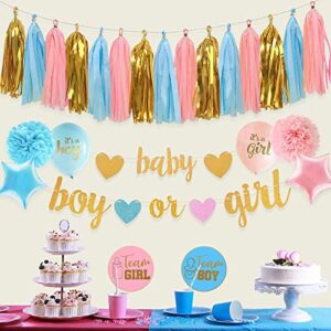 Aonor Gender Reveal Party Decorations - Glitter Letters Baby and Boy or Girl with Hearts Banner, Tissue Paper Tassels Garland Set for Baby Shower Party Decorations