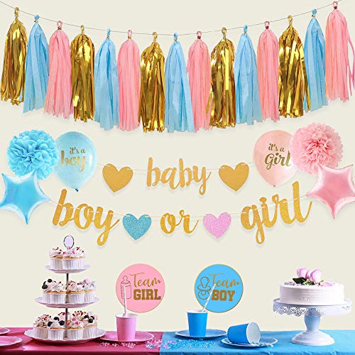 Aonor Gender Reveal Party Decorations - Glitter Letters Baby and Boy or Girl with Hearts Banner, Tissue Paper Tassels Garland Set for Baby Shower Party Decorations