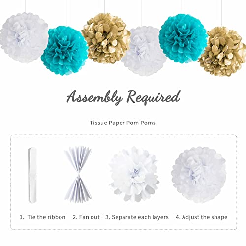 ANSOMO Teal Blue and Gold Happy Birthday Party Decorations Banner Turquoise Aqua Foil Fringe Curtain Tissue Pom Poms Balloons