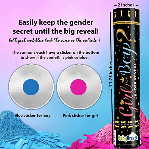 Gender Reveal Confetti Powder Cannon Biodegradable Baby Boy Blue Baby Girl Pink Gender Reveal Poppers - He or She What Will it Bee Baby Shower Baby Party Decorations Supplies Confetti Sticks (2 Pink)