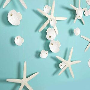 Decor365 Flat Paper White Finger Starfish Sea Shell Garland Ocean Coastal Nautical Party Decoration Starfish Cutouts Hanging Bunting Banner Under The Sea Mermaid Wish Birthday Beach Wedding Decor