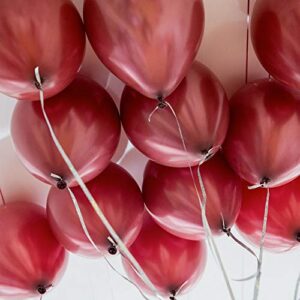 Latex Balloons, 100-Pack, 12-Inch Burgundy(Burgundy)