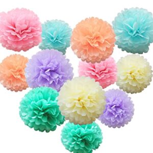 ishyan 12 pcs assorted rainbow colors tissue paper pom poms flower balls for birthday wedding party baby shower decorations