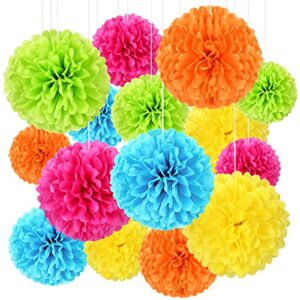 tissue pom pom paper flower ball party decorations – 15 pcs 10, 12, 14 inch -for wedding, birthday, bridal shower, bachelorette, baby gift shower