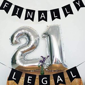 Haimimall 21st Birthday Decorations for Her Him, Finally Legal 21st Birthday Decorations inclouding Finally Legal Banner,Finally 21 Sash,Silver Metallic Tinsel Foil Fringe Curtains Photo Backdropand