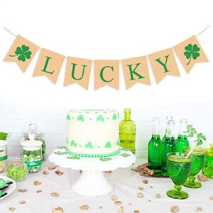 St Patricks Day Decorations St Patricks Day Banner Lucky Banner Shamrock Garland for St Pattys Decorations Shamrock Decorations St Patricks Day Decor