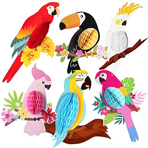 KatchOn, Big Tropical Birds Honeycomb Cutouts - Pack of 6, Luau Party Decorations | Hawaiian Party Decorations | Tropical Party Decorations, Tropical Birthday Party Decorations, Rainforest Decorations