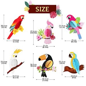 KatchOn, Big Tropical Birds Honeycomb Cutouts - Pack of 6, Luau Party Decorations | Hawaiian Party Decorations | Tropical Party Decorations, Tropical Birthday Party Decorations, Rainforest Decorations