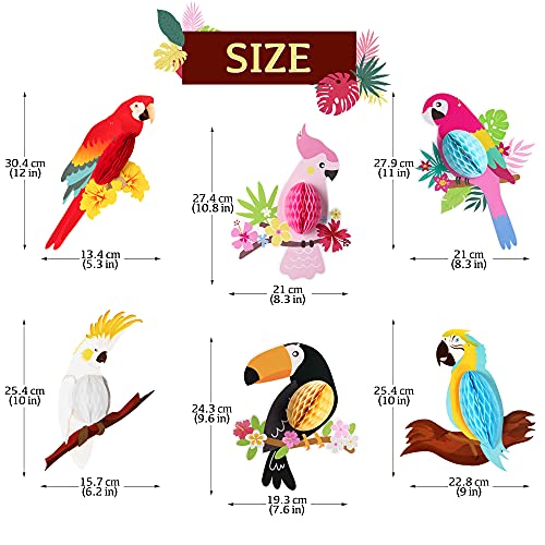 KatchOn, Big Tropical Birds Honeycomb Cutouts - Pack of 6, Luau Party Decorations | Hawaiian Party Decorations | Tropical Party Decorations, Tropical Birthday Party Decorations, Rainforest Decorations