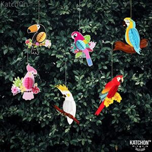 KatchOn, Big Tropical Birds Honeycomb Cutouts - Pack of 6, Luau Party Decorations | Hawaiian Party Decorations | Tropical Party Decorations, Tropical Birthday Party Decorations, Rainforest Decorations