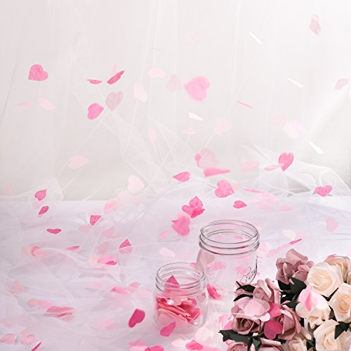 Whaline Valentine's Day 1 Inch Heart Paper Confetti Tissue Confetti 6000 Pieces Confetti Party Table Decorations for Balloon, Wedding, Holiday, Birthday