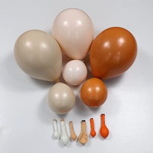 Double Stuffed Orange Cream Peach Apricot Balloons Garland Arch Kit-Small&Large Double Stuffed Balloons Beautiful Colours For Gender Reveal Party, Birthday Party, Baby Shower, Bridal Shower