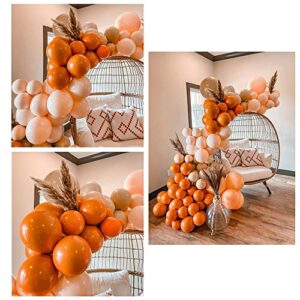 Double Stuffed Orange Cream Peach Apricot Balloons Garland Arch Kit-Small&Large Double Stuffed Balloons Beautiful Colours For Gender Reveal Party, Birthday Party, Baby Shower, Bridal Shower