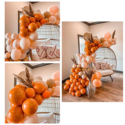 Double Stuffed Orange Cream Peach Apricot Balloons Garland Arch Kit-Small&Large Double Stuffed Balloons Beautiful Colours For Gender Reveal Party, Birthday Party, Baby Shower, Bridal Shower