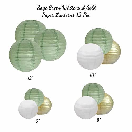 ANSOMO Sage Green White and Gold Paper Lanterns Party Decorations Chinese Japanese Hanging Decorative Birthday Baby Shower Bridal Wedding Greenery Neutral Home Décor 12 Pcs 12" 10" 8" 6"