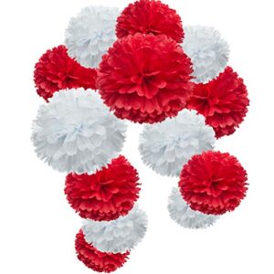 red paper flower tissue pom poms party supplies (red,white,12pc)