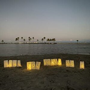 Luminary paper bags wedding proposal decorations “will you marry me?” light up letters sign with led lights included for engagement party, proposals