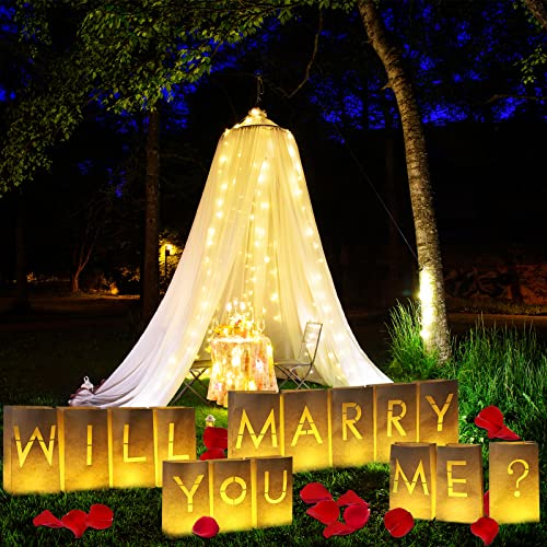 YLOLUL 35 Pcs Will You Marry Me Light up Letters Sign Set Luminary Paper Bags Wedding Proposal Decorations with LED Lights for Christmas Party Wedding Girl Boy Living Room Office