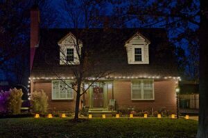 set of 6 brown luminaries, amber led tea lights & stakes