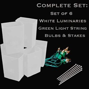 Set of 6 White Luminaries, Light String, Bulbs & Stakes