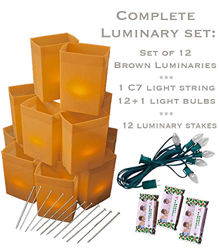 Set of 12 Brown Luminaries, Light String, Bulbs & Stakes