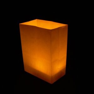 Fortune Products LL-8A Luminary Light, 2 3/4" Length, 1 1/2" Width, 3/4" Height, 8 LEDs, Amber LEDs with Black Base