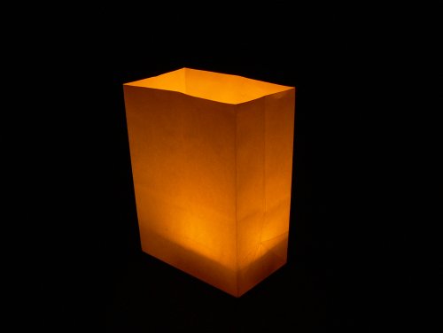 Fortune Products LL-8A Luminary Light, 2 3/4" Length, 1 1/2" Width, 3/4" Height, 8 LEDs, Amber LEDs with Black Base