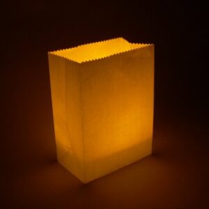 Fortune Products LL-8A Luminary Light, 2 3/4" Length, 1 1/2" Width, 3/4" Height, 8 LEDs, Amber LEDs with Black Base