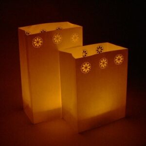 Fortune Products LL-8A Luminary Light, 2 3/4" Length, 1 1/2" Width, 3/4" Height, 8 LEDs, Amber LEDs with Black Base