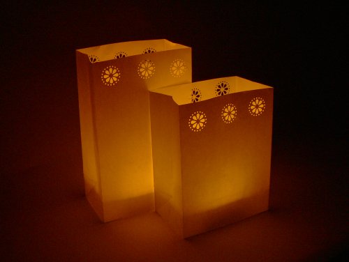 Fortune Products LL-8A Luminary Light, 2 3/4" Length, 1 1/2" Width, 3/4" Height, 8 LEDs, Amber LEDs with Black Base