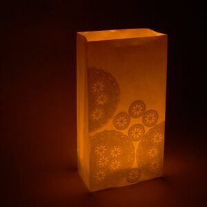 Fortune Products LL-8A Luminary Light, 2 3/4" Length, 1 1/2" Width, 3/4" Height, 8 LEDs, Amber LEDs with Black Base