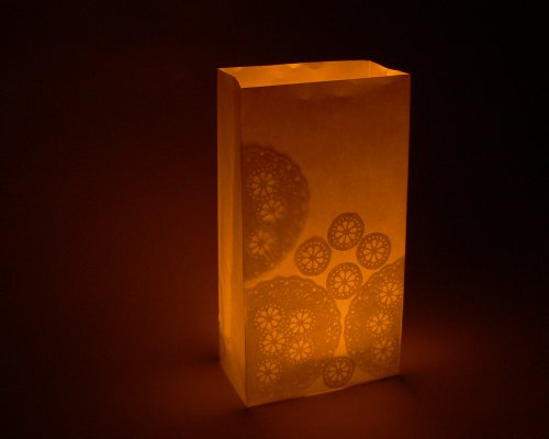 Fortune Products LL-8A Luminary Light, 2 3/4" Length, 1 1/2" Width, 3/4" Height, 8 LEDs, Amber LEDs with Black Base