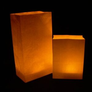 Fortune Products LL-8A Luminary Light, 2 3/4" Length, 1 1/2" Width, 3/4" Height, 8 LEDs, Amber LEDs with Black Base