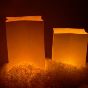 Fortune Products LL-8A Luminary Light, 2 3/4" Length, 1 1/2" Width, 3/4" Height, 8 LEDs, Amber LEDs with Black Base