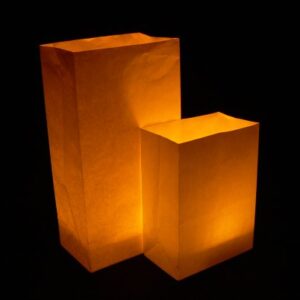 Fortune Products LL-8A Luminary Light, 2 3/4" Length, 1 1/2" Width, 3/4" Height, 8 LEDs, Amber LEDs with Black Base