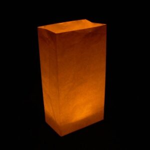 Fortune Products LL-8A Luminary Light, 2 3/4" Length, 1 1/2" Width, 3/4" Height, 8 LEDs, Amber LEDs with Black Base