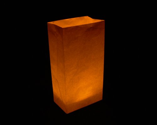 Fortune Products LL-8A Luminary Light, 2 3/4" Length, 1 1/2" Width, 3/4" Height, 8 LEDs, Amber LEDs with Black Base