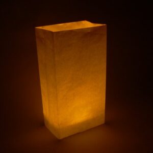 Fortune Products LL-8A Luminary Light, 2 3/4" Length, 1 1/2" Width, 3/4" Height, 8 LEDs, Amber LEDs with Black Base