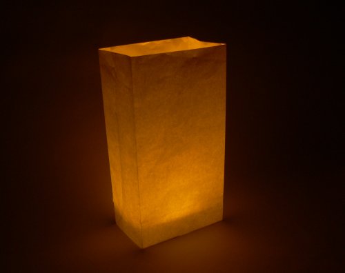 Fortune Products LL-8A Luminary Light, 2 3/4" Length, 1 1/2" Width, 3/4" Height, 8 LEDs, Amber LEDs with Black Base