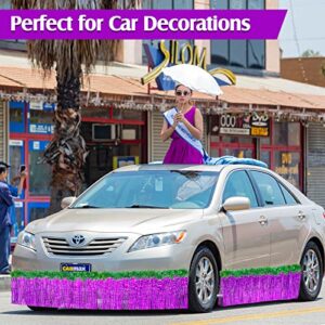 20 Pcs Mardi Gras Parade Float Decorations Including 8 Pcs 10 ft Metallic Foil Fringe Curtains 12 Pcs 6.5 ft Tinsel Garland for Carnival St. Patrick's Day Party Car Decorations (Purple, Green)