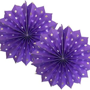 Purple Silver Birthday Decorations for Women Purple Silver Happy Birthday Balloons Latex Balloons Polka Dot Paper Fans/ Women's 30th/40th/50th/60th Birthday/Purple Birthday Decorations