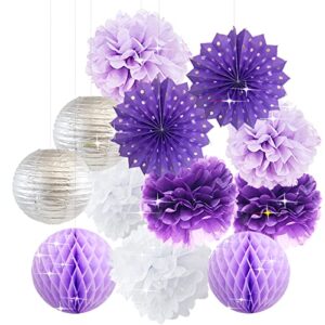 Purple Silver Birthday Decorations for Women Purple Silver Happy Birthday Balloons Latex Balloons Polka Dot Paper Fans/ Women's 30th/40th/50th/60th Birthday/Purple Birthday Decorations