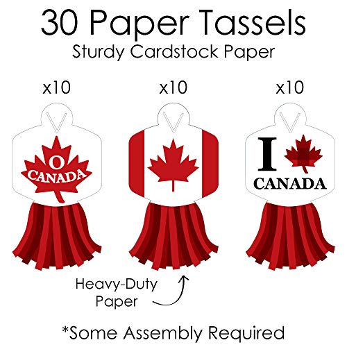 Big Dot of Happiness Canada Day - 90 Chain Links and 30 Paper Tassels Decoration Kit - Canadian Party Paper Chains Garland - 21 feet