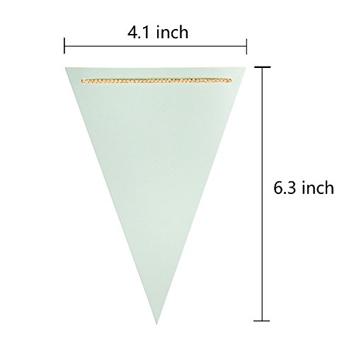 Paper Banner Flags Triangle Banner Flags For Wall Decor, Wedding Garland, Birthday Party, Baby Shower,Gold Glitter+Coral Pink+Mint Green,15 Pcs