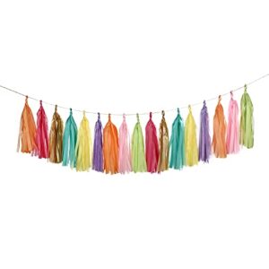 GUZON Tissue Paper Tassel DIY Party Garland Decor for All Events & Occasions ，40 Tassels Per Package