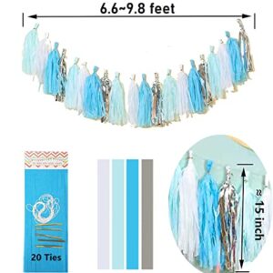 Qyeaber 20 pcs DIY Paper Tassel Tinsel Foil Tassel Party Garland, Silver/White/ Blue , Fringe Garland Banner for Wedding, Valentine's Day, Baby Shower,Birthday, Graduation, Event & Party Decorations